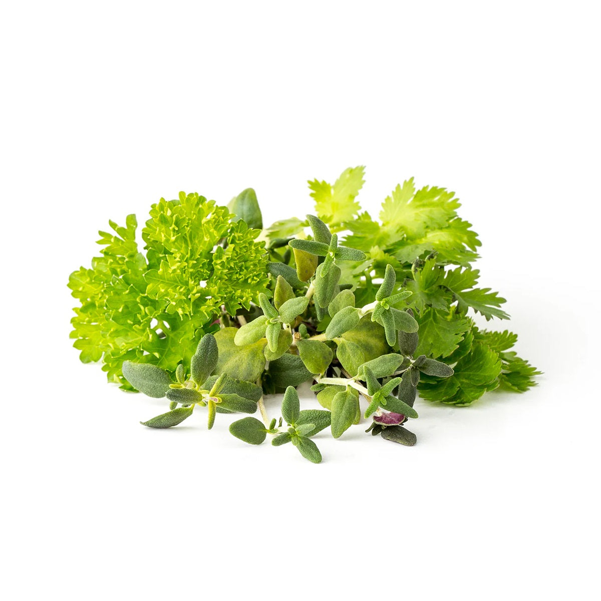 Click & Grow Steak Seasoning Mix For Click & Grow Indoor Gardens | 9 P ...