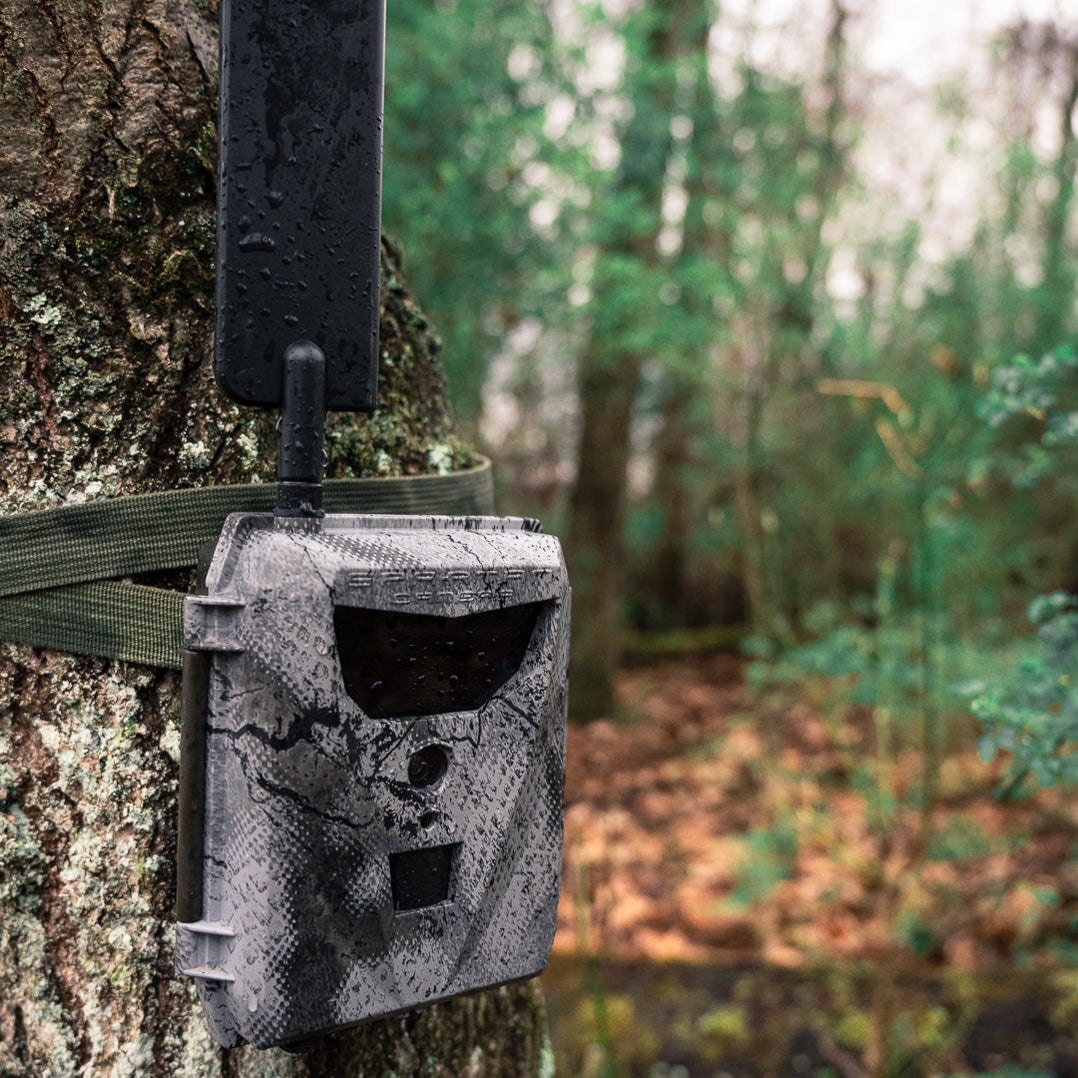 Spartan Camera GoLive 4G/ LTE Cellular Trail Camera — Certified Brands